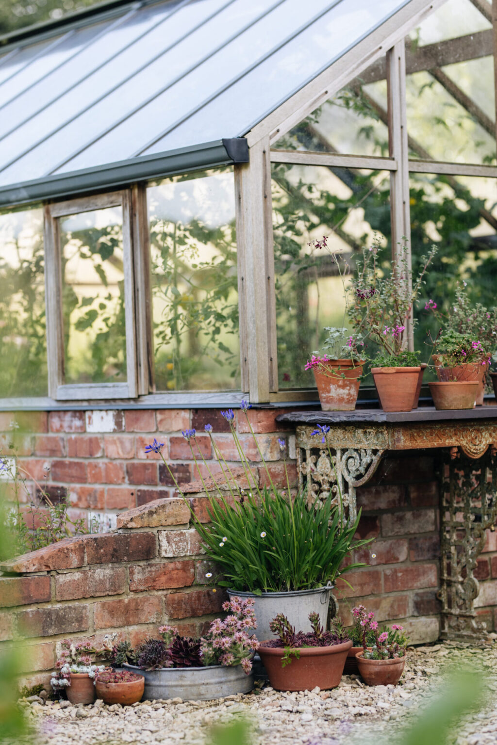 Exploring Sustainable Gardening at Bath's Damson Farm