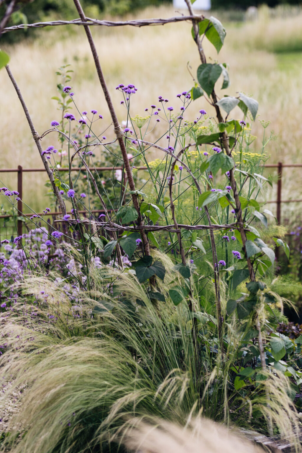 Exploring Sustainable Gardening at Bath's Damson Farm