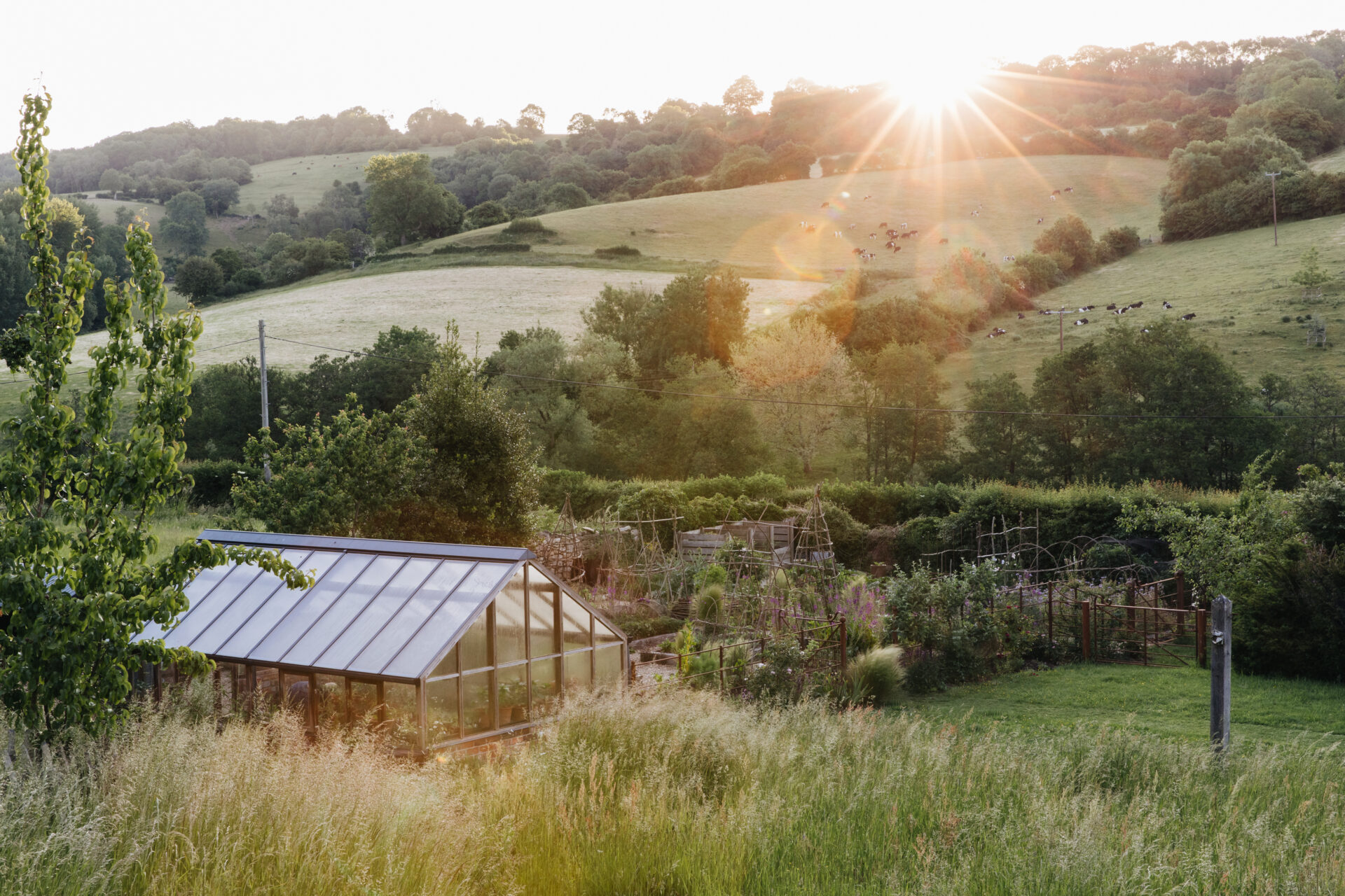 Exploring Sustainable Gardening at Bath's Damson Farm