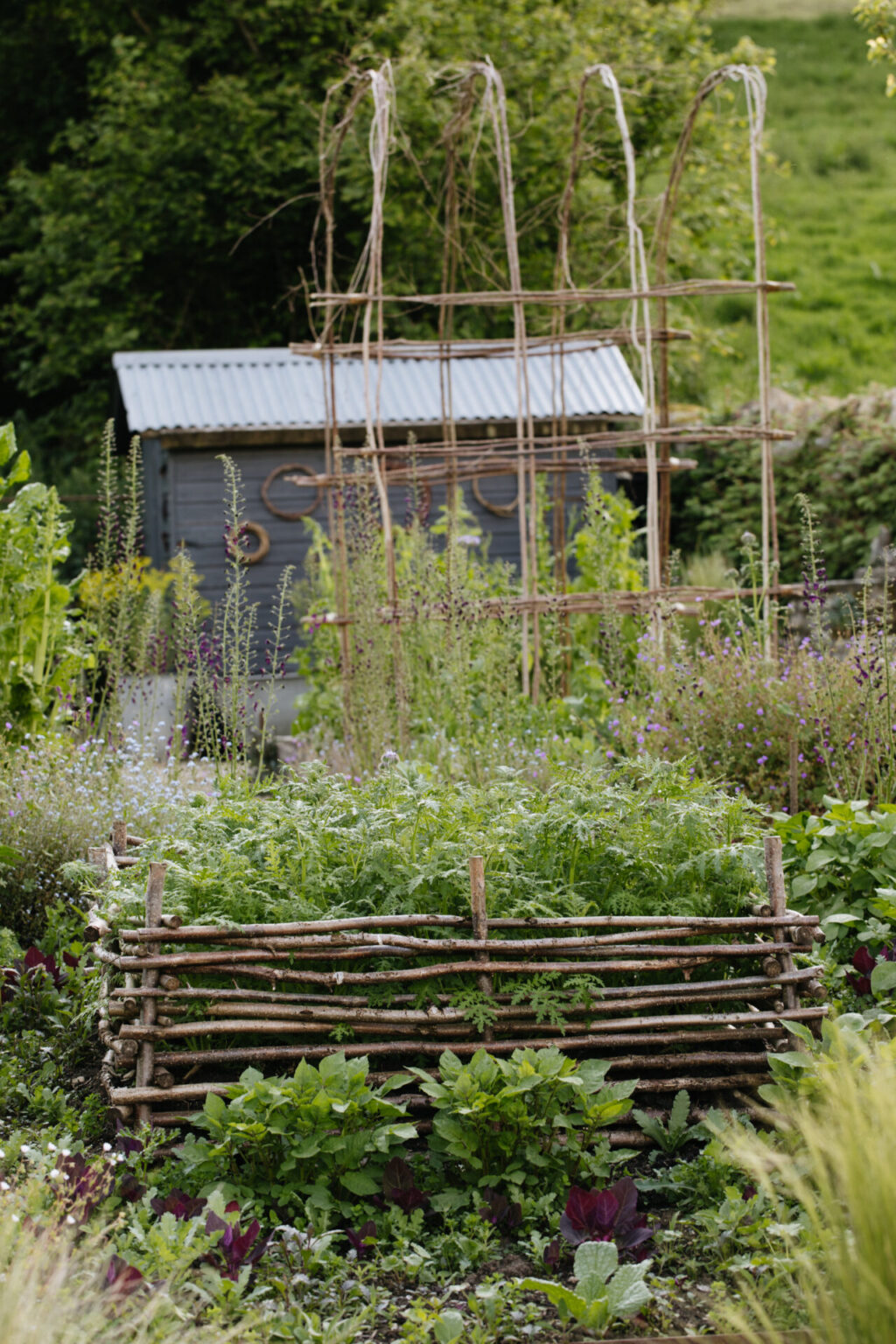 Exploring Sustainable Gardening at Bath's Damson Farm